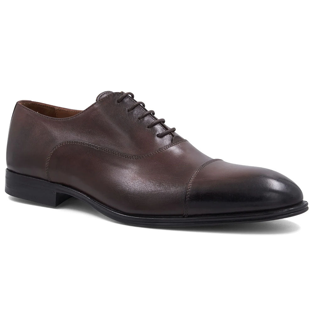 Bruno Magli Sergio Leather Cap Toe Oxford Brown | MensDesignerShoe.com